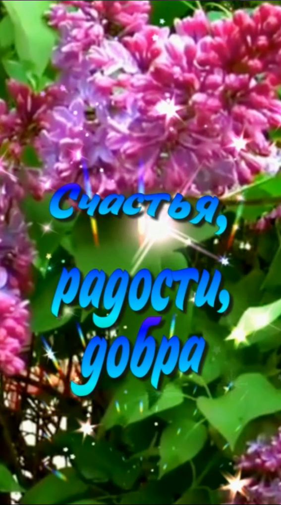 Тебе веточка сирени. #красивоепоздравление #shorts