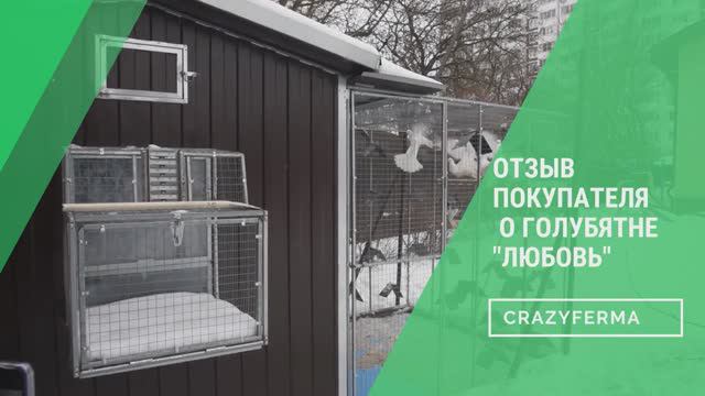 Вся правда о зимовке в голубятне от опытного заводчика-птицевода!Самые красивые голуби!