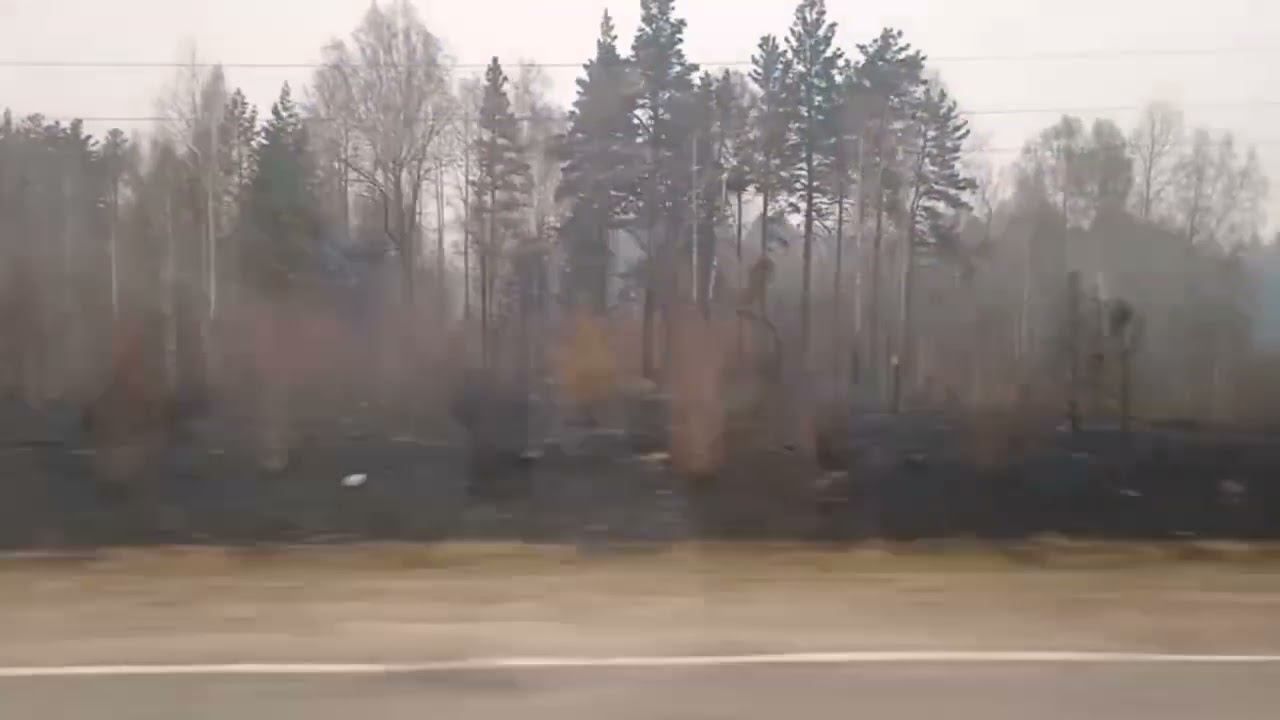 10.05.23 Последствия пожаров