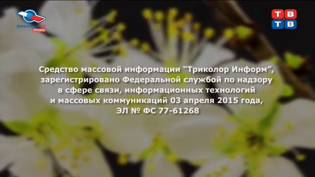 Свидетельство о регистрации (ТВ-ТВ Триколор ТВ, 05.2015)