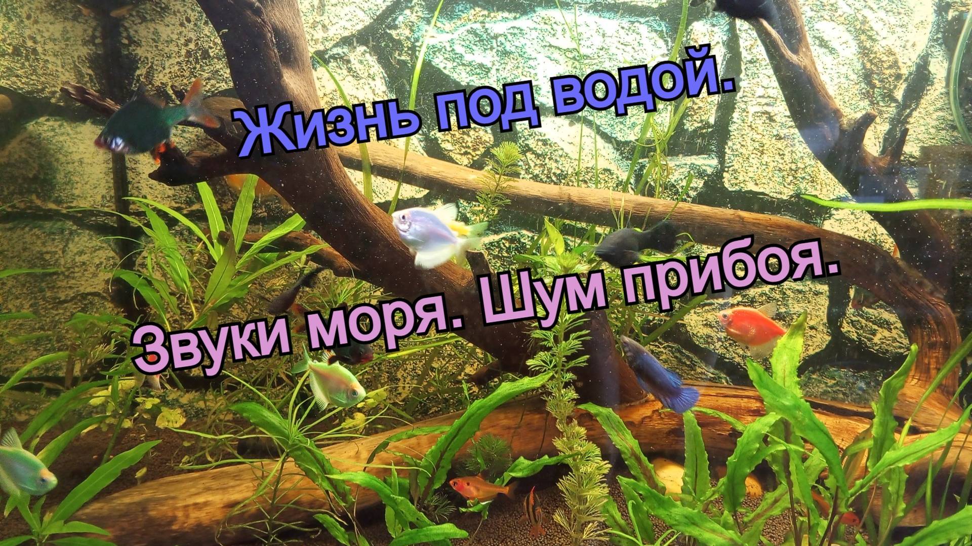 Полный релакс.