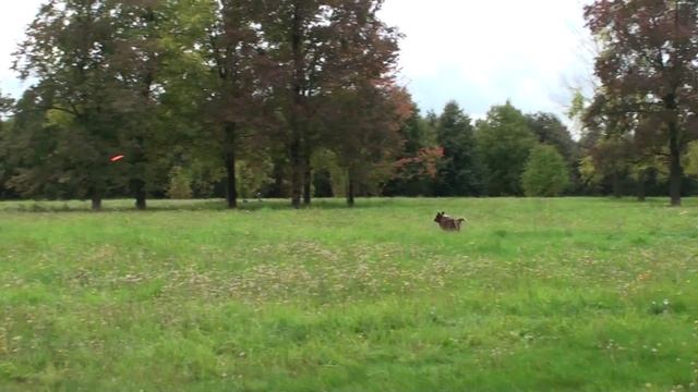 Чемпионат России. Татьяна и Ру..mp4