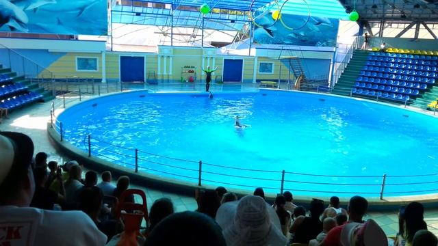 Небуг. Дельфинарий. Июль 2017.