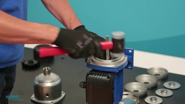 Lowara e-HM / Ремонт 2