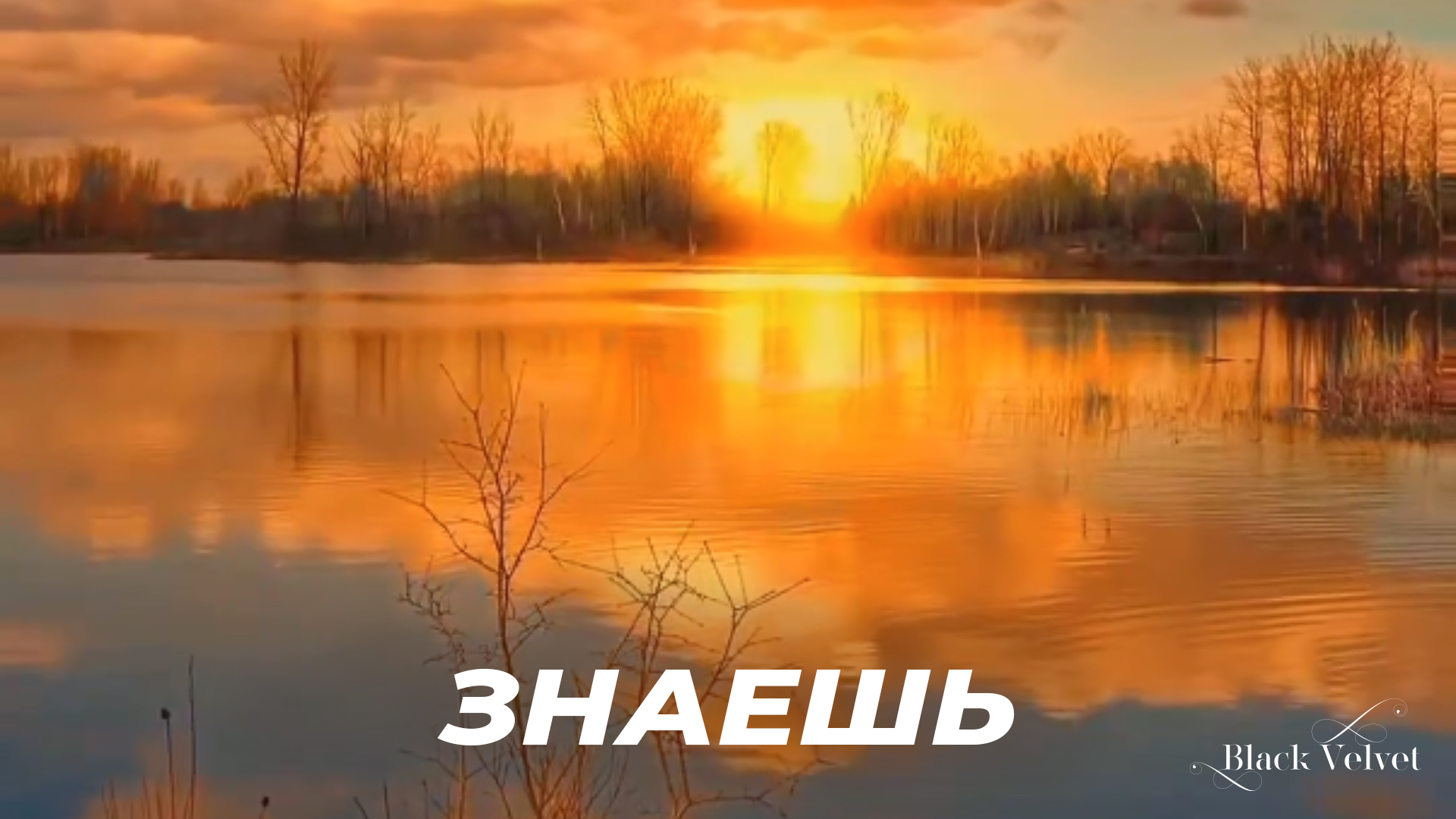 ЗНАЕШЬ | Автор стихотворения: Роберт Рождественский | Читает: Шавкат Тухтаев