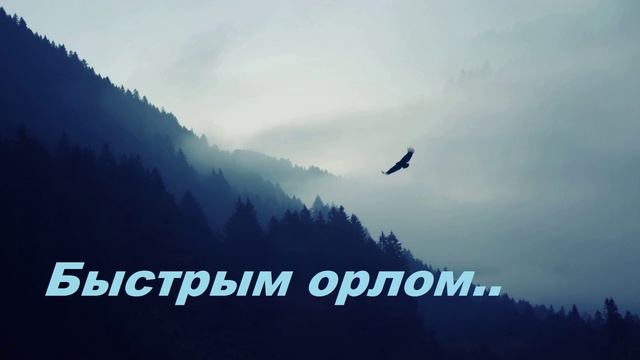 Быстрым орлом..