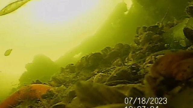 YouCut_20230718_181240319~2.mp4