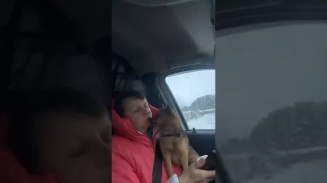 Он замерзал на трассе