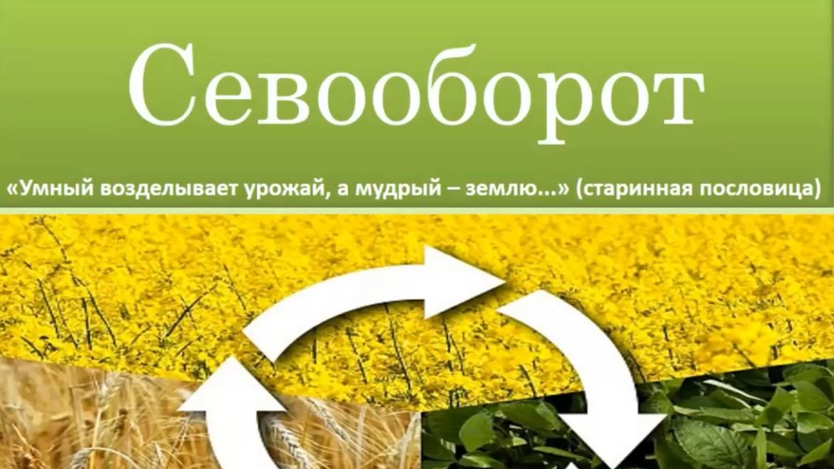 Семинар по СЕВООБОРОТАМ