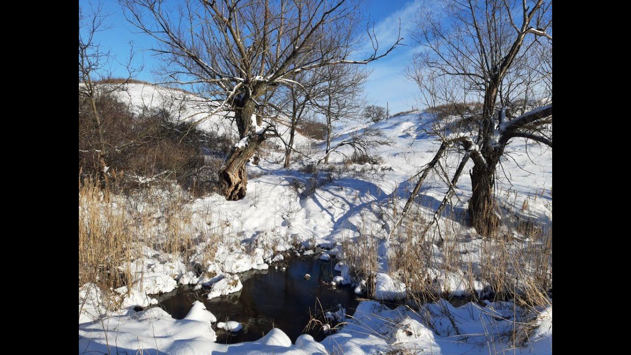 Зима и классическая музыка!