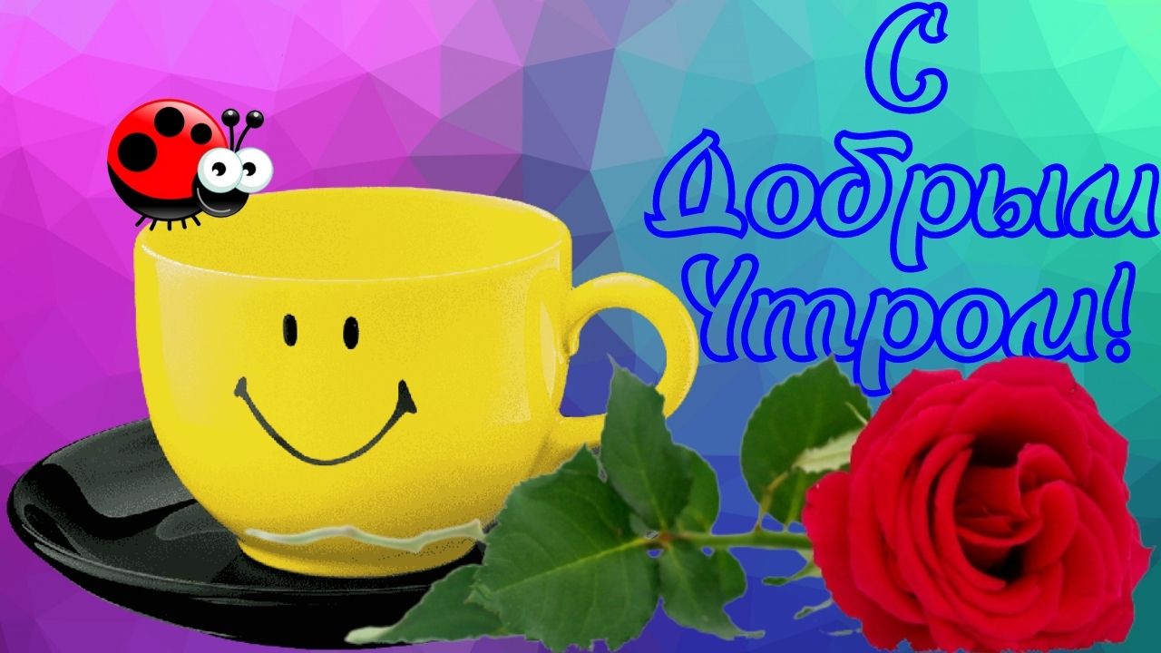 ДОБРОЕ УТРО, ЧУДЕСНОГО ДНЯ!