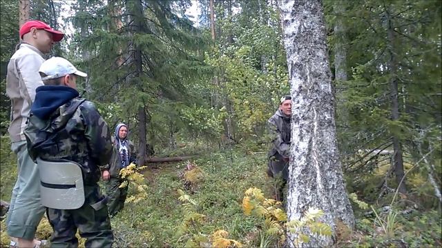 Сплав 2020. Шуя. Пчелы