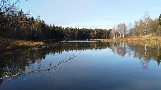 Усадьба Абрамцево '20