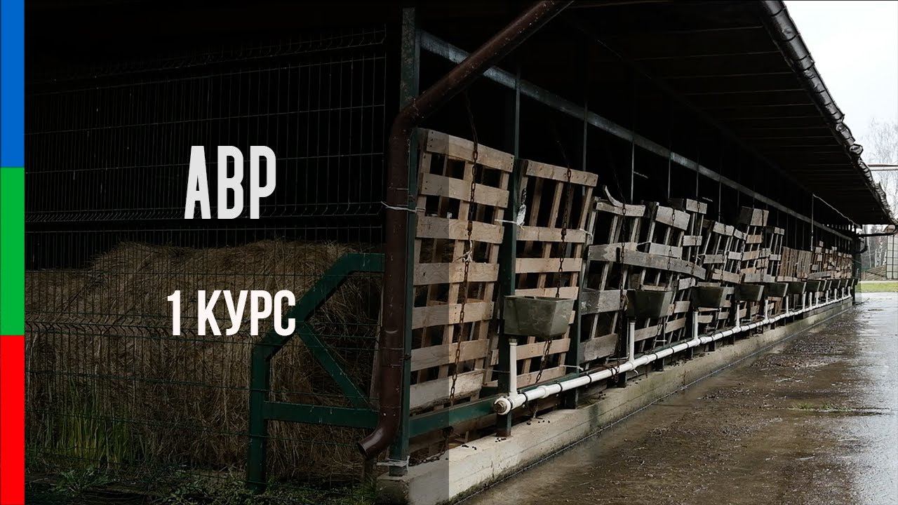 ДО11 Сторожук Дарья АВР Атмосфера