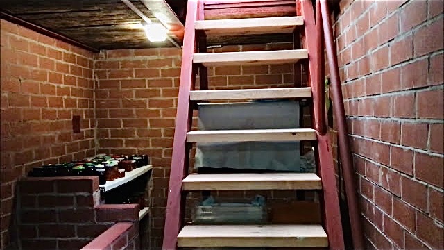 Погребок мой погребок... или где хранятся яблоки.