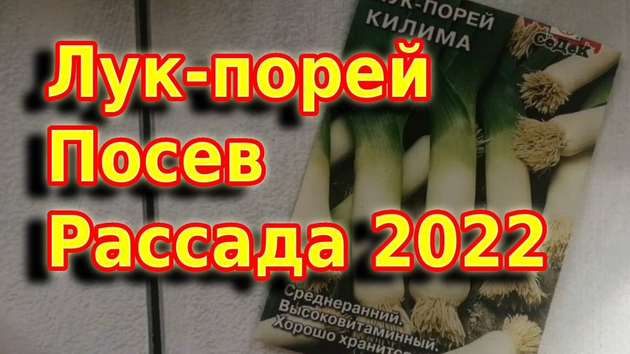 Рассада 2022 / Сеем лук-порей