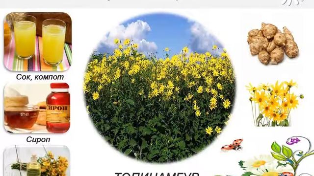 «Травинка-Витаминка»