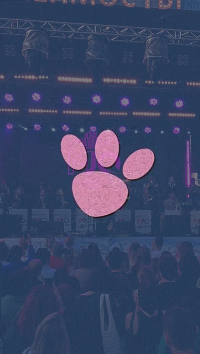 Pink Panter Live #Shorts