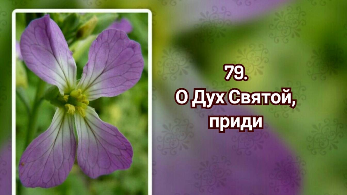 Гимны надежды 79 О Дух Святой, приди (-)