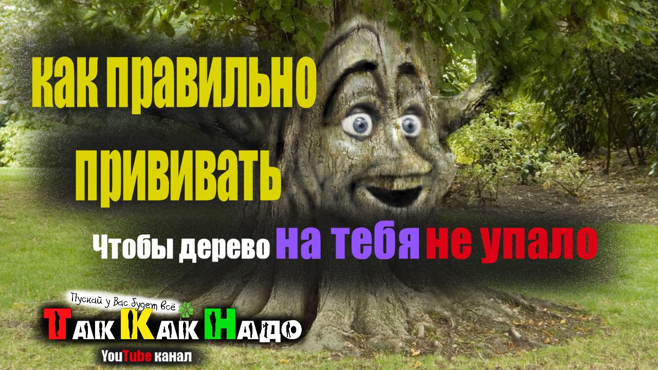 КАК ПРАВИЛЬНО ПРИВИВАТЬ ДЕРЕВЬЯ ЧТОБЫ ОНИ НА ВАС НЕ УПАЛИ. Смотрите внимательно!