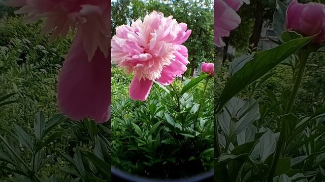 Лето - прекрасное время!