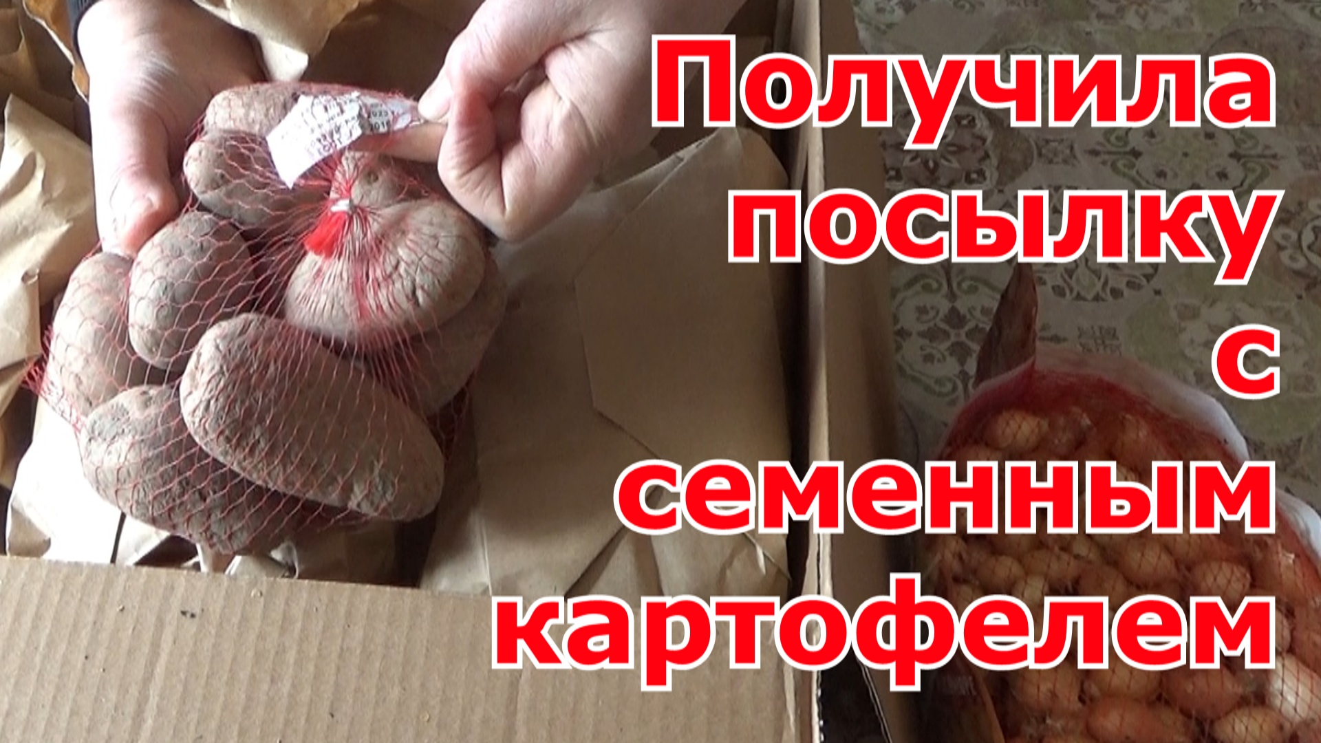 Посадочный материал картофеля и прочие саженцы на новый сезон. Распаковка посылки.