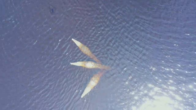 PLAYA AZUL. MICHOACAN. MEXICO. TORTUGAS. COCODRILOS. Мексика. Тихий океан. MAVIC 2 pro.mp4