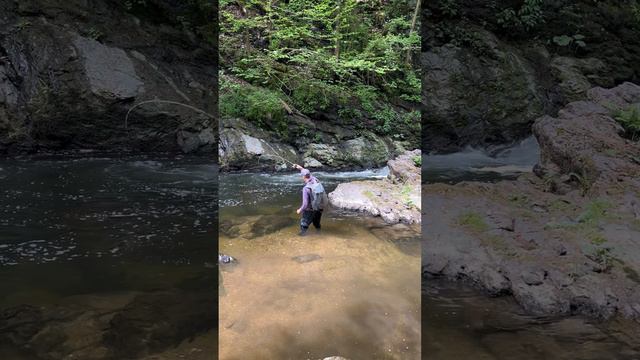 BFS (Bait Finesse System) - деликатная ловля осторожной форели в горных реках #shorts