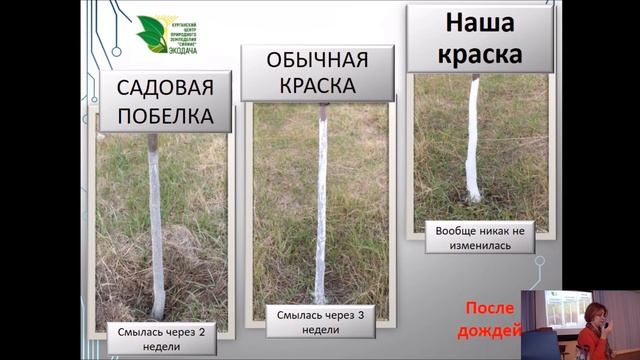 Семинар.Плодовые деревья. Сад  после зимы. Готовим к зиме