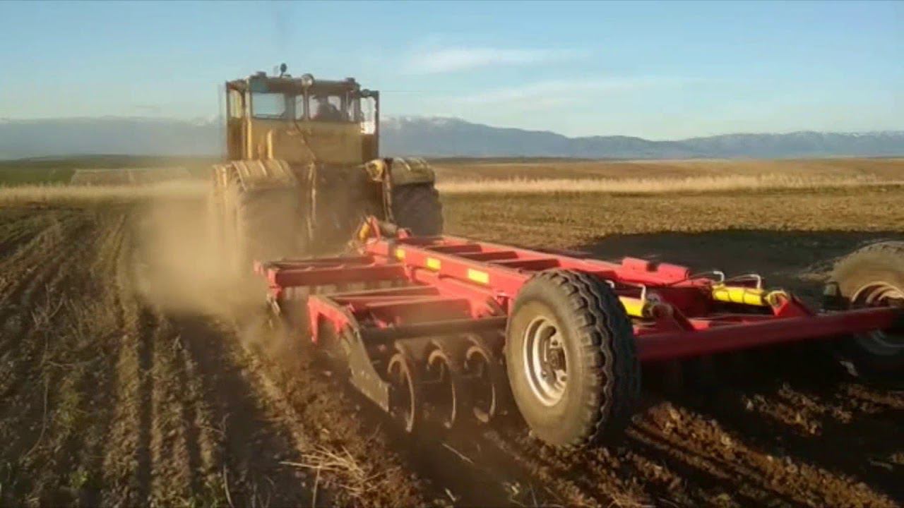 Работа бороны дискочизельной БДЧ 3,3х4 РОСОМАХА производства БДТ-АГРО