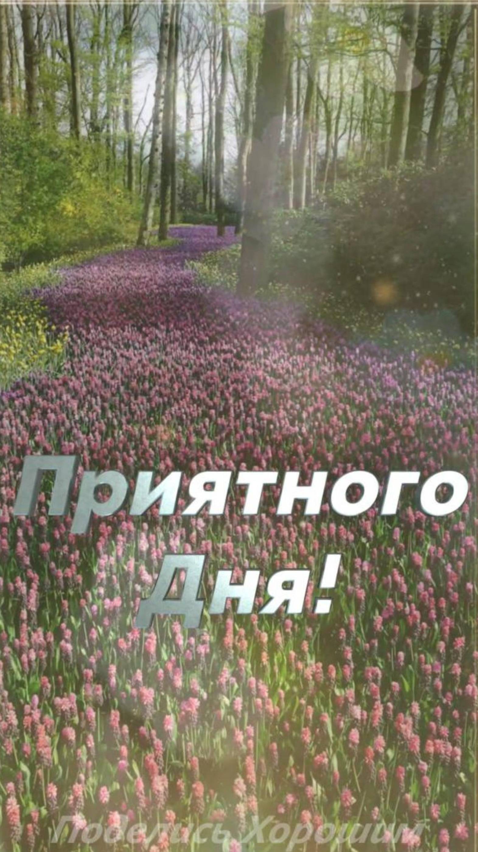 Приятного Дня!