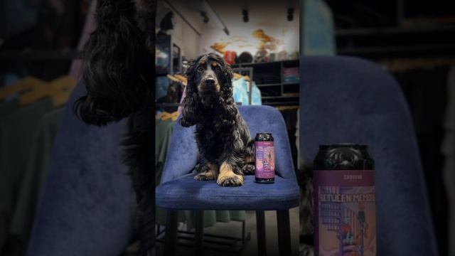 В нашем меню более 200 позиций крафта!