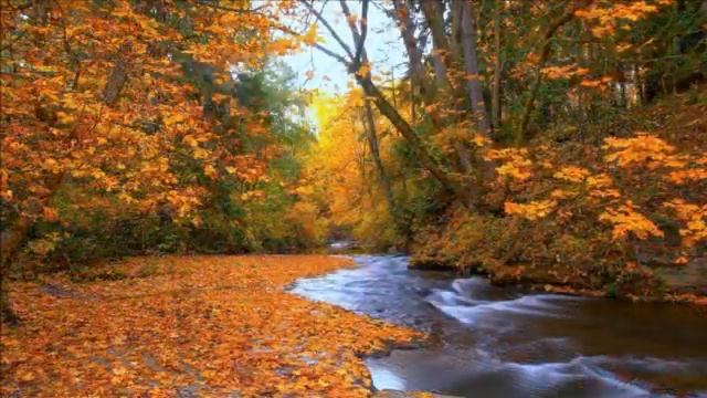 Интеграция души. Практика. Как собрать воедино фрагменты своей души – обрести ее целостность.