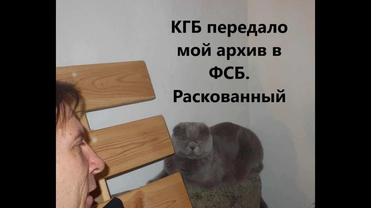 Когда же вымрут  сексоты? Стукачи на содержиании налогоплательщиков. ШП 74