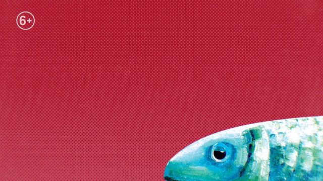 Ролик 17-го Международного кинофестиваля «Меридианы Тихого» во Владивостоке