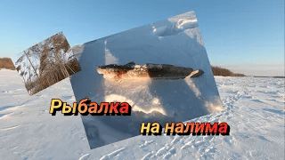 Рыбачим на налима. Рыбалка Омск - Иртыш 2021-2022.