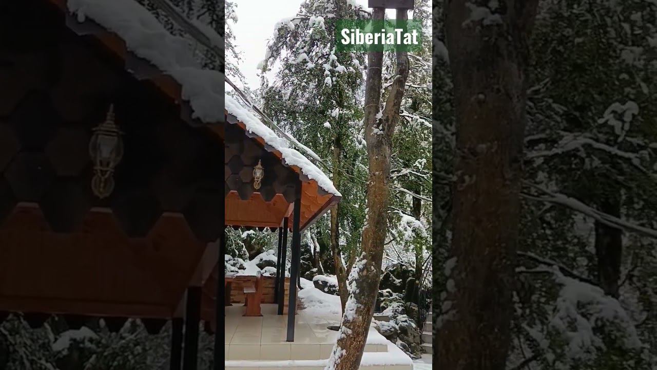 АБХАЗИЯ - СНЕГ В ГОРАХ  ехали на юг, попали в зиму #shortvideo #shorts #short