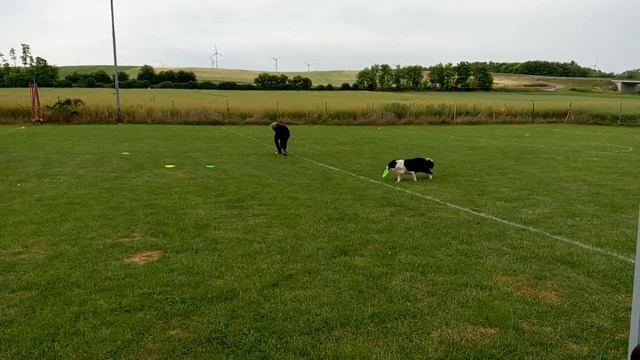 Qualifier Austria'17 Daan & Tess R2.mp4