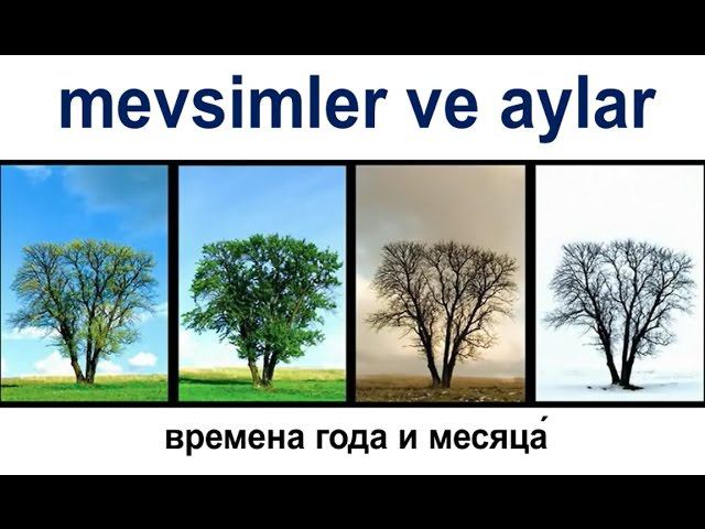 времена года и месяцА по-турецки. Mevsimler ve aylar.