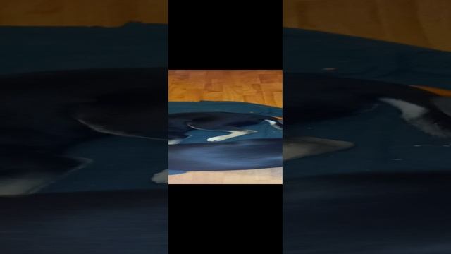 ?У КОГО ВКУСНЕЙ МОРКОВКА❓