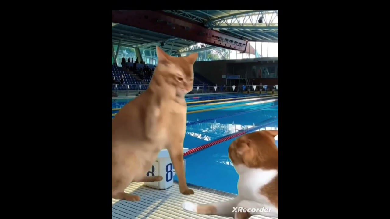 ЖИЗНЕННО! Как проходят наши тренировки! Озвучка друзей