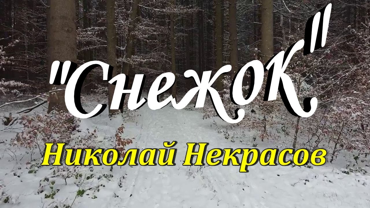 Стихотворение "Снежок" Некрасов Николай