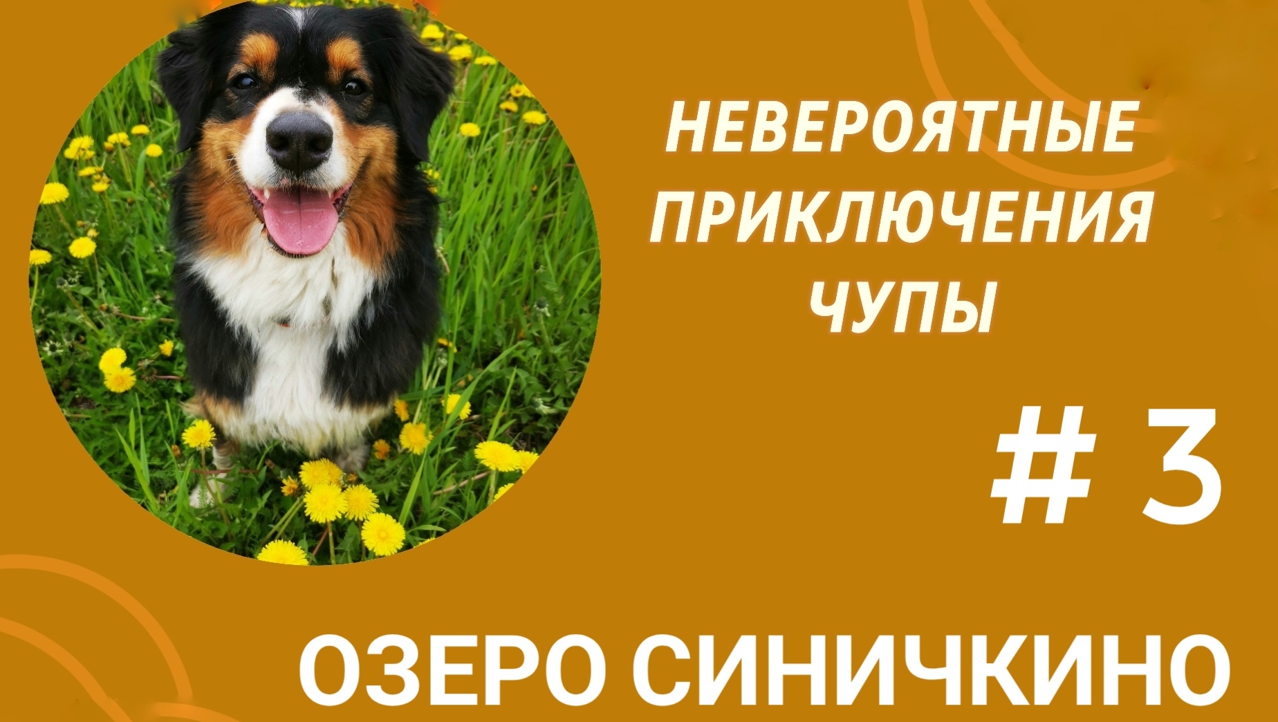 НЕВЕРОЯТНЫЕ ПРИКЛЮЧЕНИЯ ЧУПЫ. ОЗЕРО СИНИЧКИНО. #3.