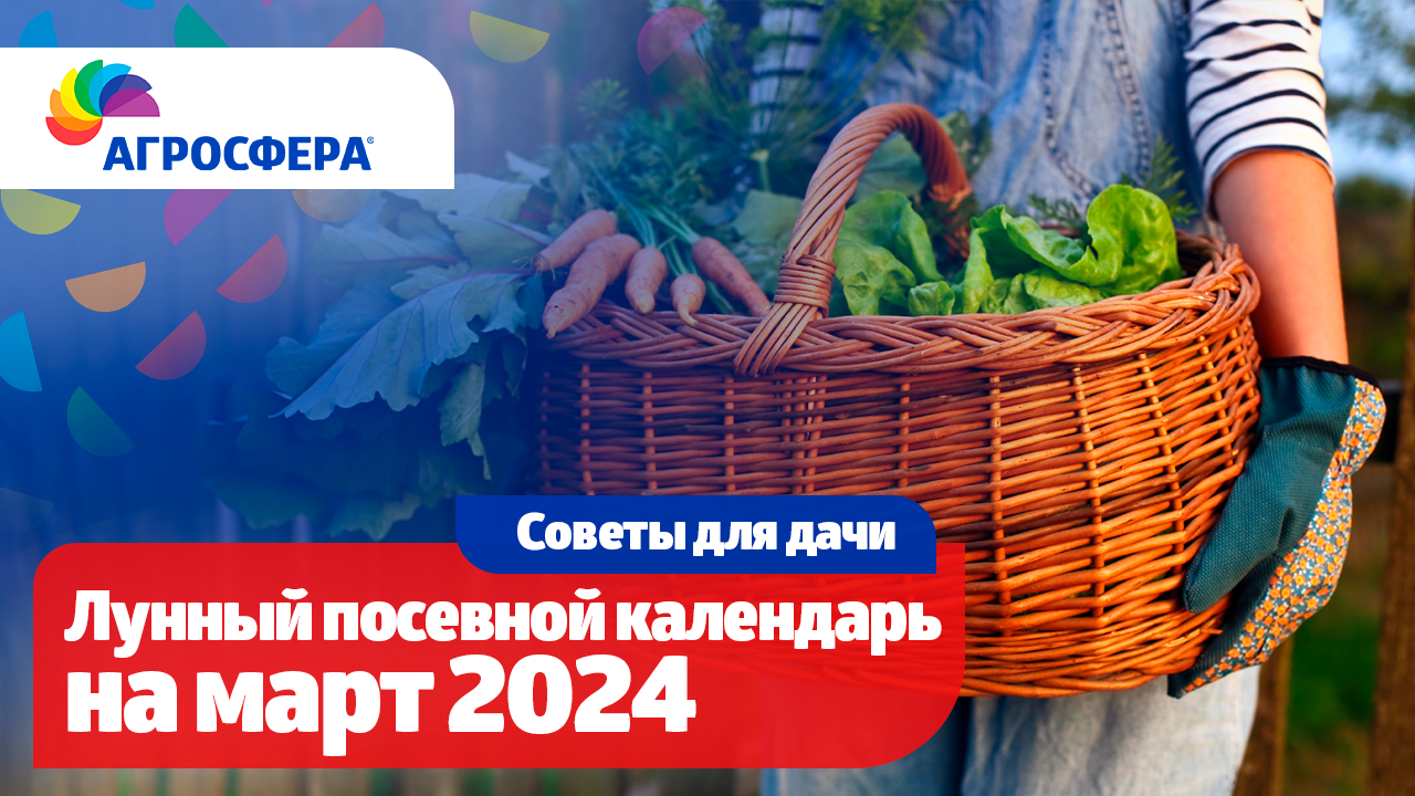 Лунный посевной календарь на март 2024, посевной календарь огородника / агросфера.рф