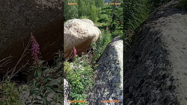 Восхождение на гору Синюха 23.07.2024 #синюха #горасинюха #горы #mountains Время:  10_31