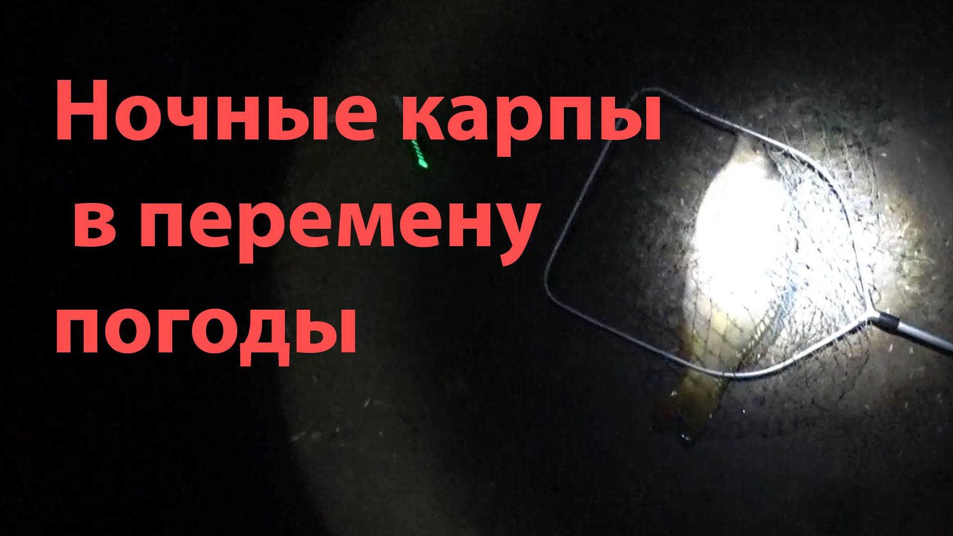 Ночные карпы в перемену погоды