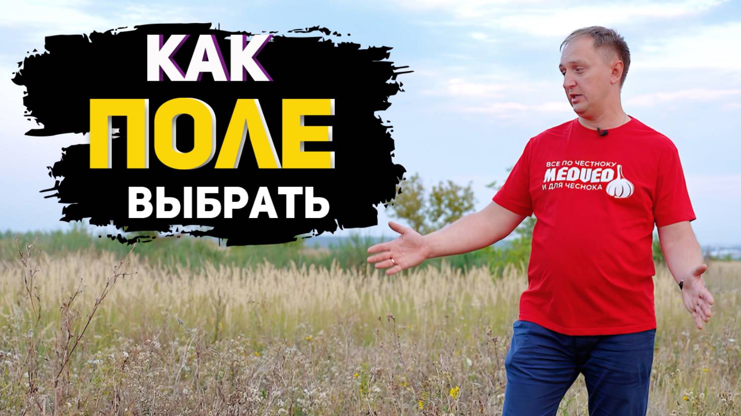 Как выбрать поле для выращивания чеснока и других посевных культур