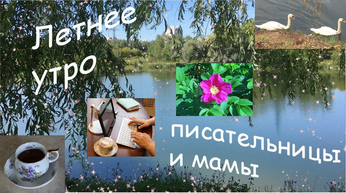 Летнее утро писательницы и мамы