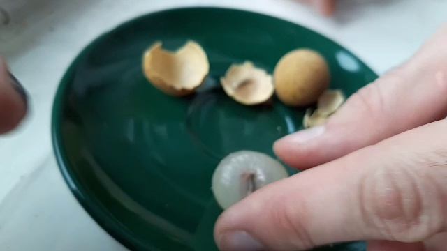 Что это за ягода?