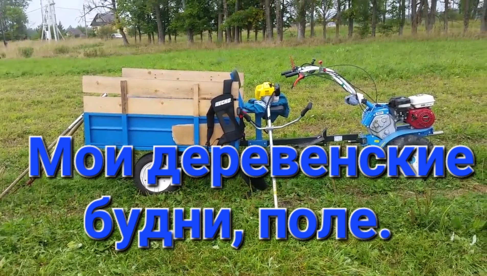 Моя деревня. На поле.